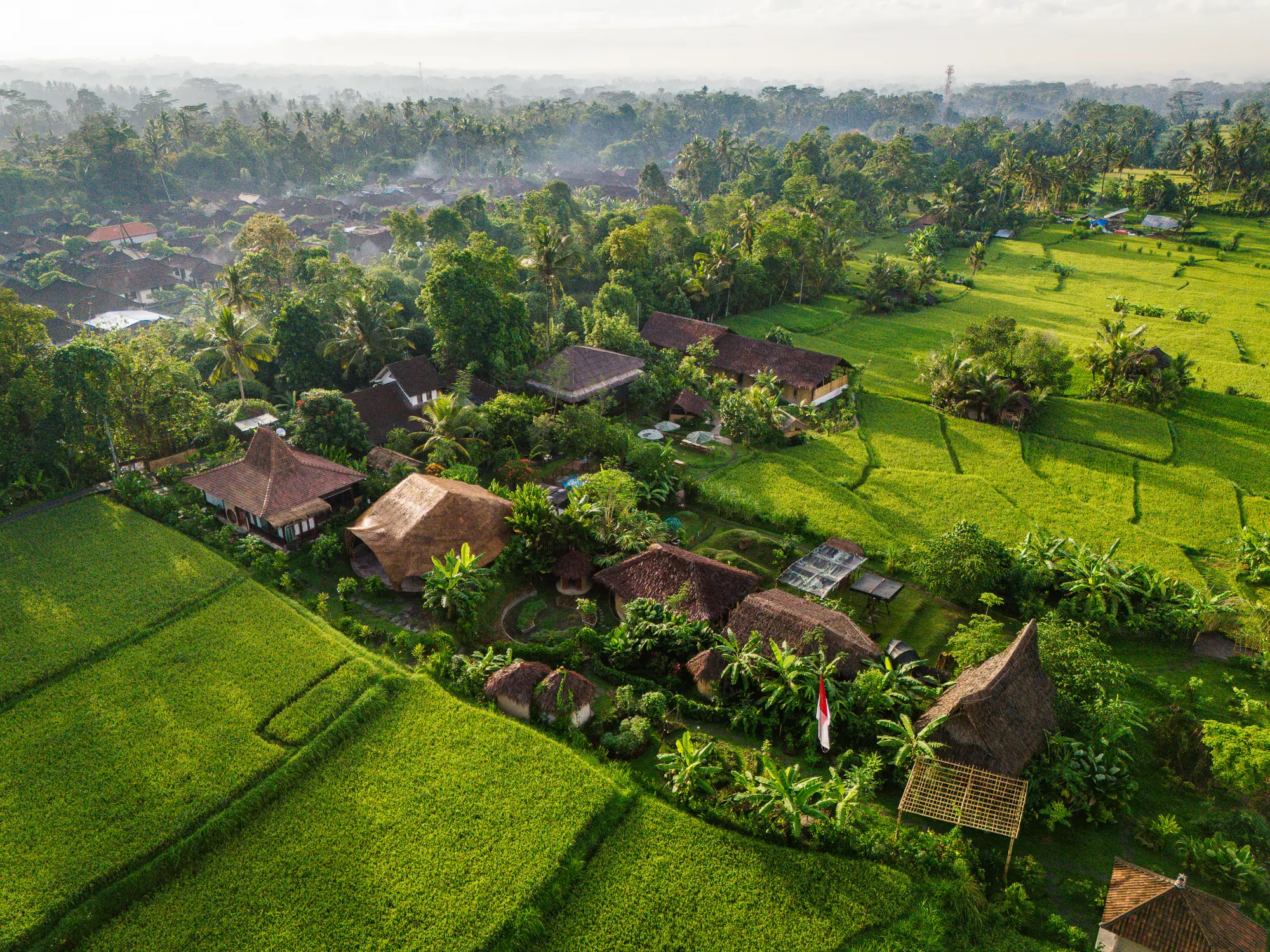 Winter Camp - Empathy School – International Learning Community In Bali