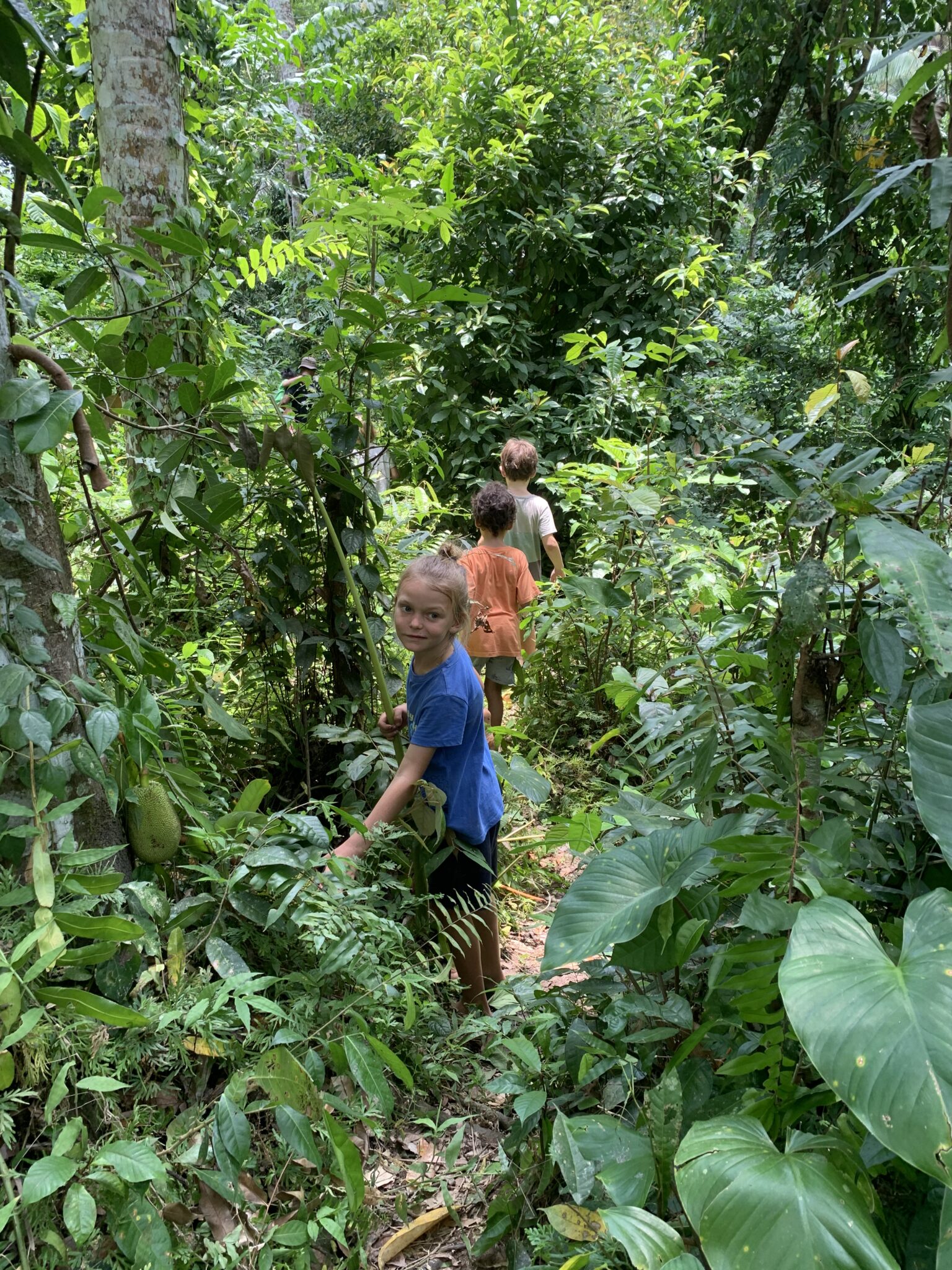 11.3 Sustainable Practices In School Operations - Empathy School – International Learning ...